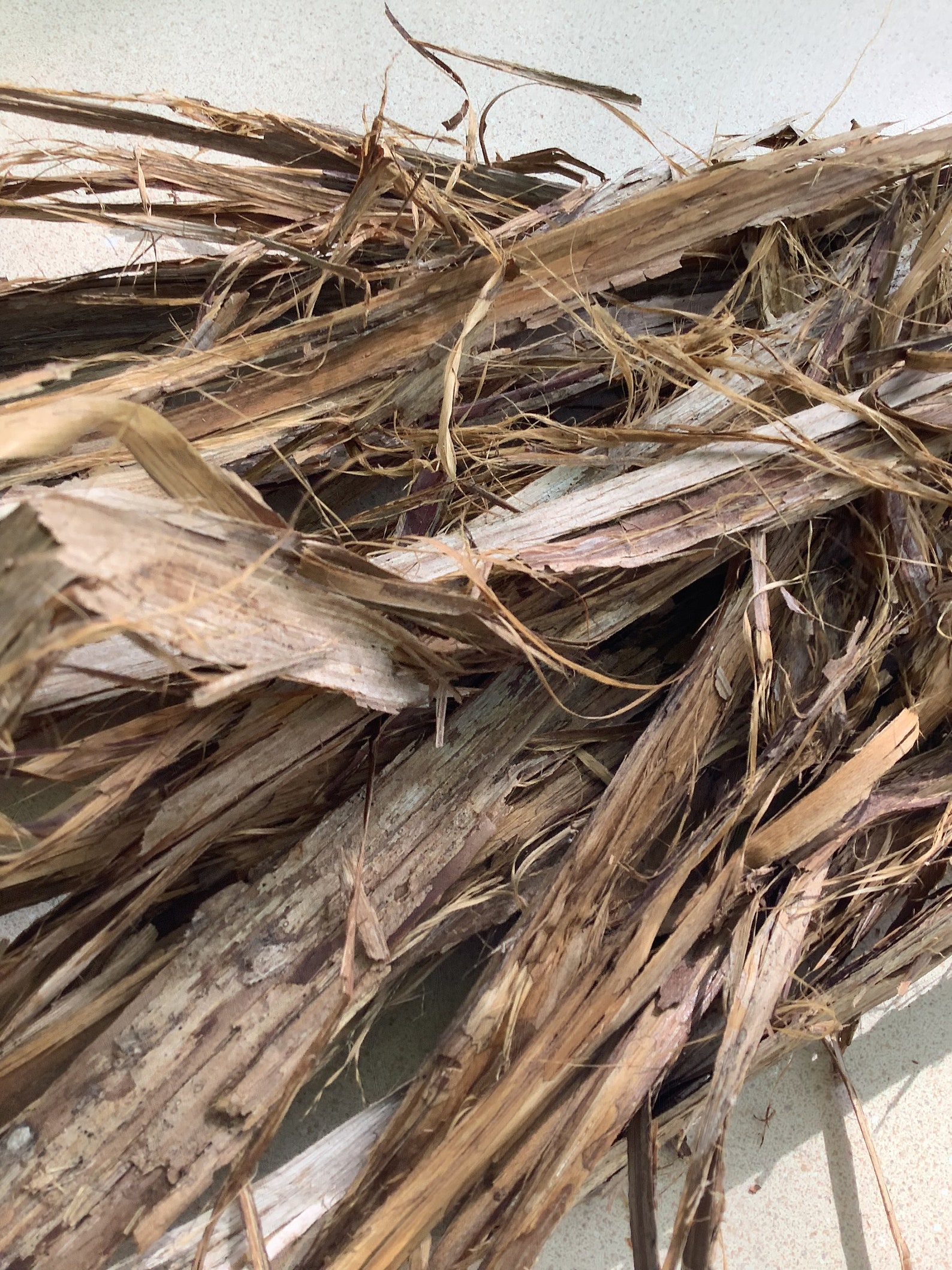 4 Ounces Wild Eastern Red Cedar Bark From the Appalachian Mountains - Etsy