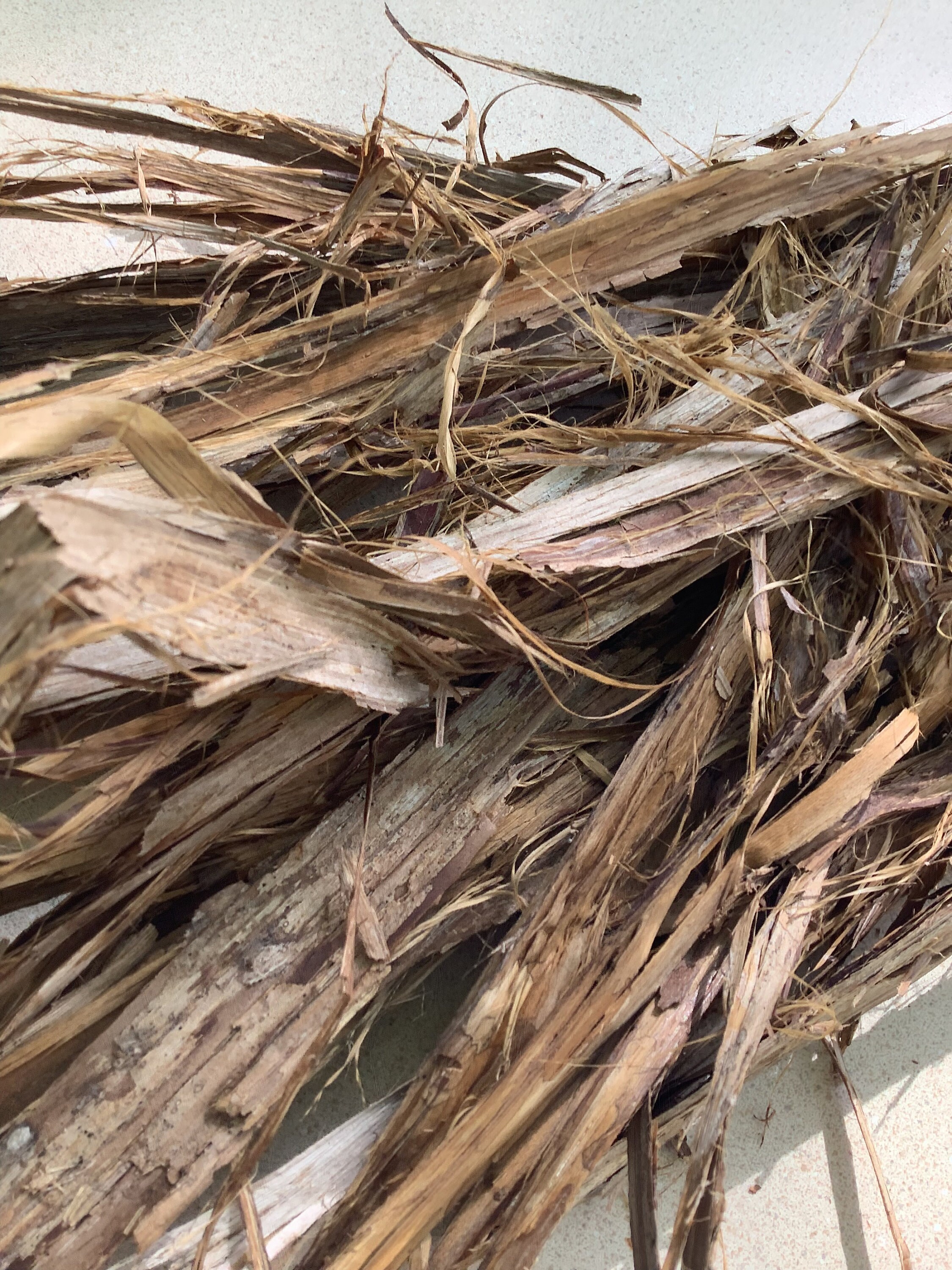 4 Ounces Wild Eastern Red Cedar Bark From the Appalachian Mountains - Etsy