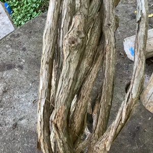 30 Ft 1/4 Inch Diameter Grapevine for Crafts - Etsy