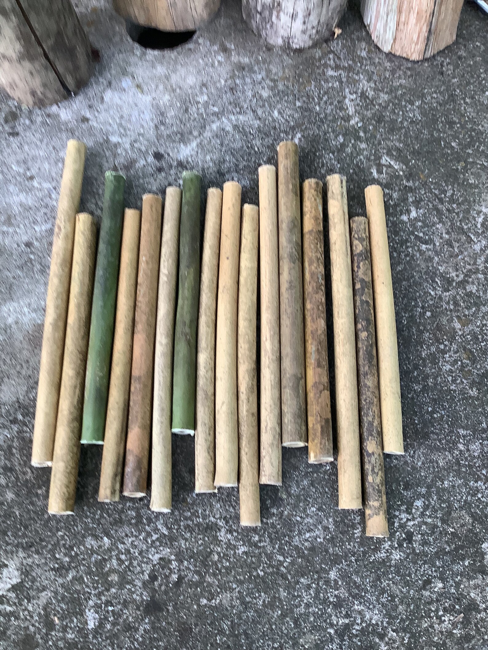 15 - 8 Inch X 1/2 Inch River Cane Pieces Hollow All Through - Etsy