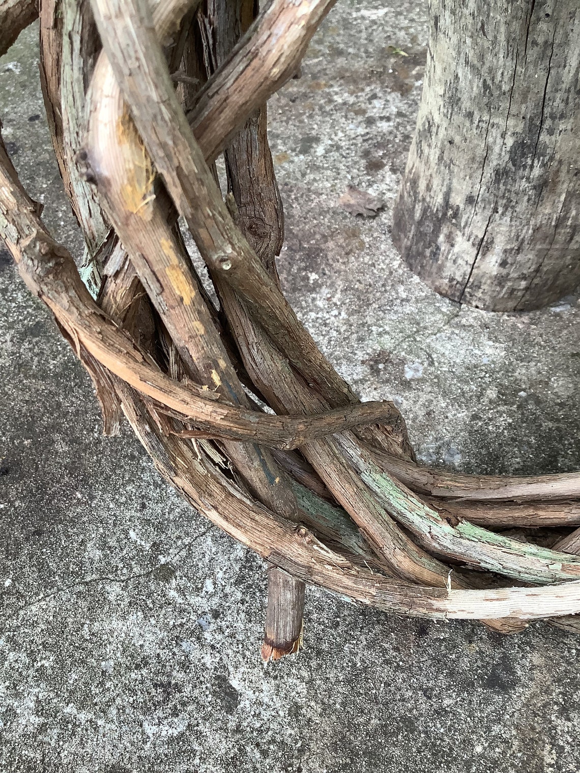 20 Ft Small Diameter Wild Grapevine About Pencil Size Great for Wreaths ...