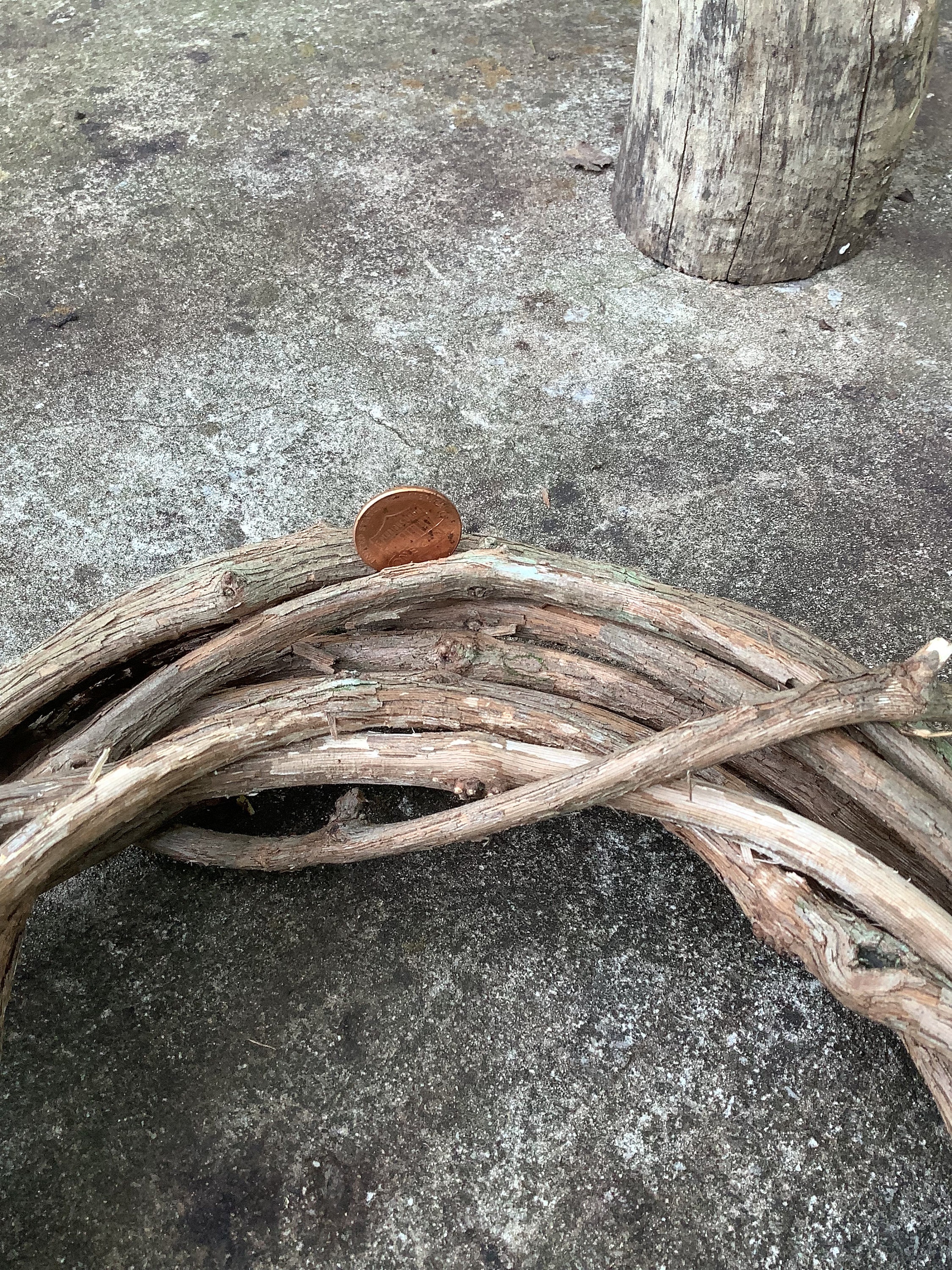 20 Ft Wild Grapevine Roll - Small Diameter for Wreaths, Vine Trees - Etsy
