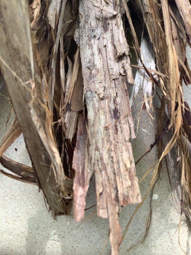 4 Ounces Wild Eastern Red Cedar Bark From the Appalachian Mountains - Etsy