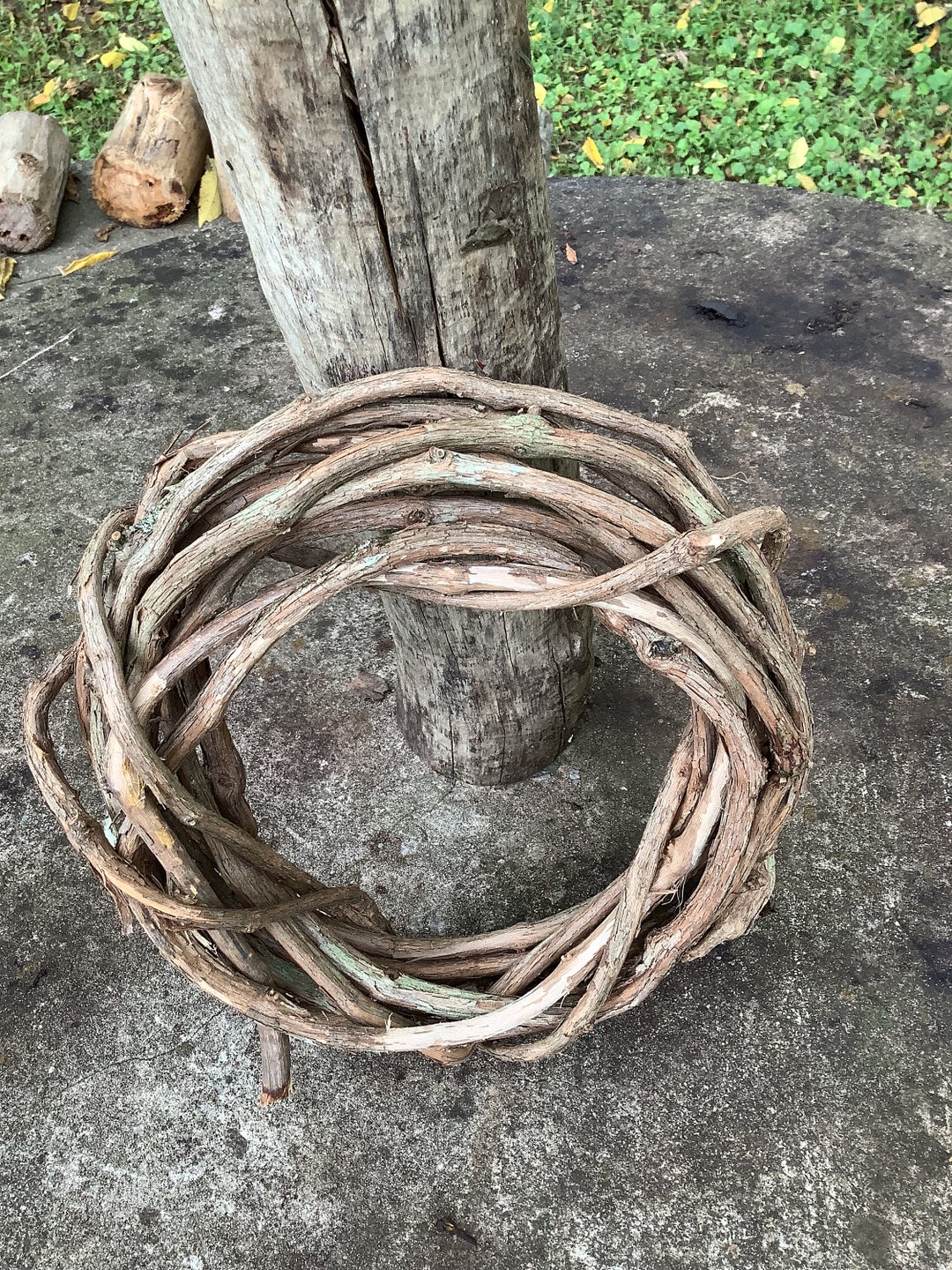 20 Ft Small Diameter Wild Grapevine About Pencil Size Great for Wreaths ...