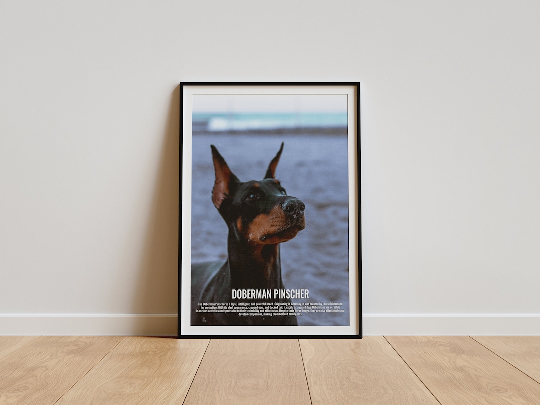 Doberman Wall Art Doberman Poster, Vintage Doberman Digital Print ...