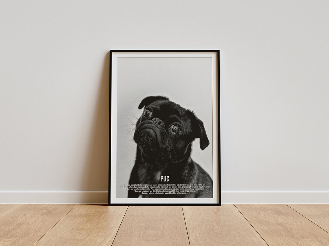Pug Wall Art Pug Poster, Vintage Pug Digital Print, Printable Art, Wall ...