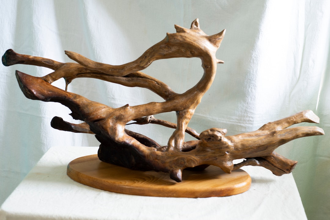 Wooden Sculpture Made of the Cedar Root, Unique Cedar Tree Wood Root ...