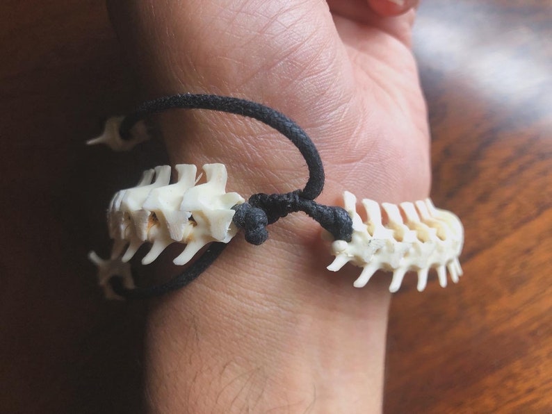 White Snake Vertebrae Bone Bracelet- Tribal Jewelry- Ethnic Bracelet ...