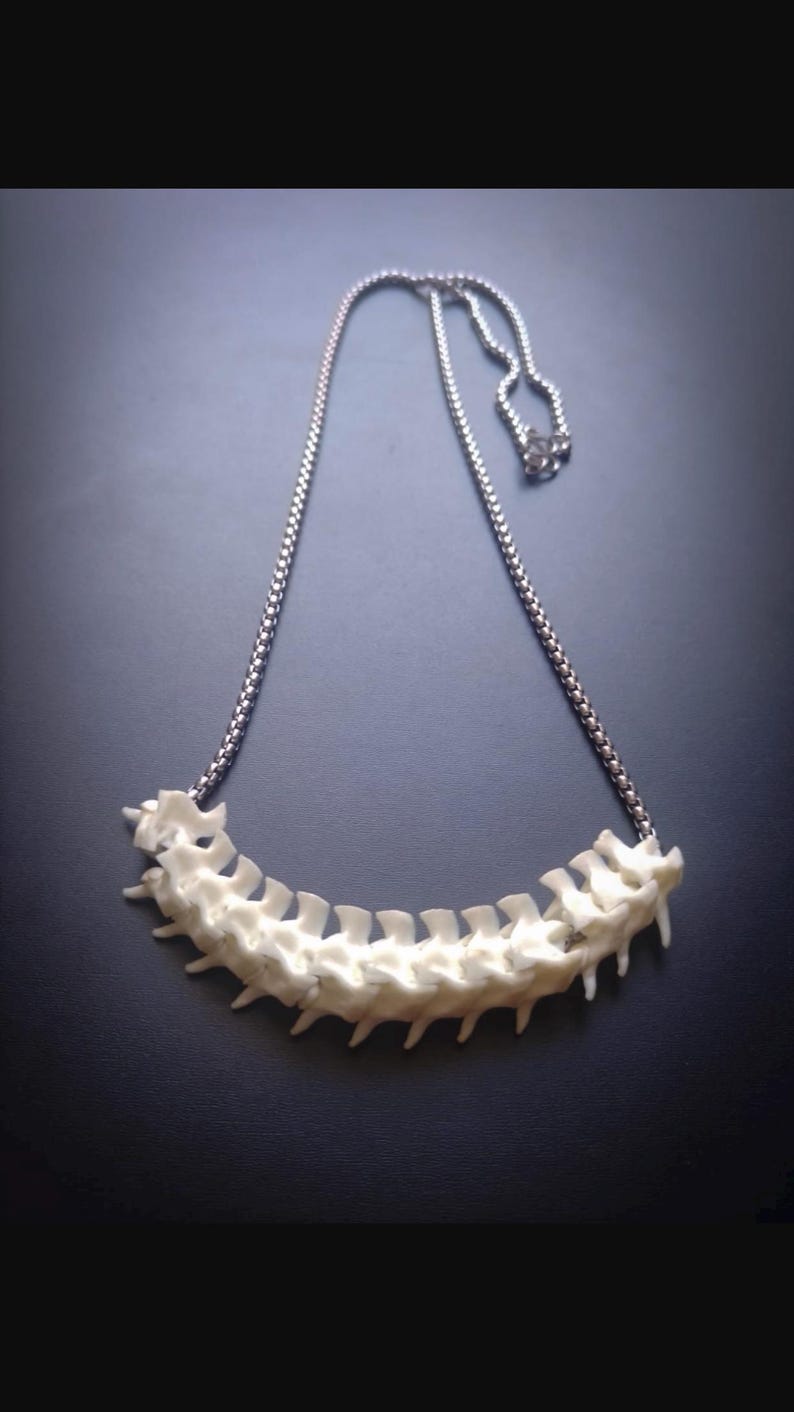 Snake Bone Necklace- Natural Vertebrae- Shamanic Jewelry- Unisex- Cobra ...