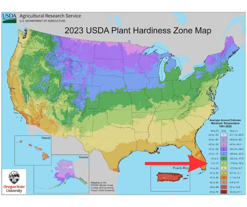 Zone 7 Planting Schedule: Visual Spring Vegetable Garden Planner, Seed ...