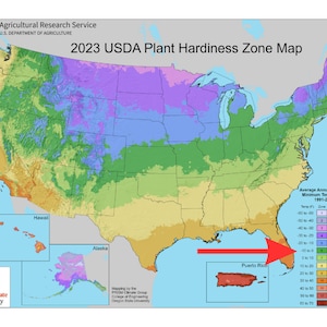 Zone 6 Planting Schedule: Visual Spring Vegetable Garden Planner, Seed ...