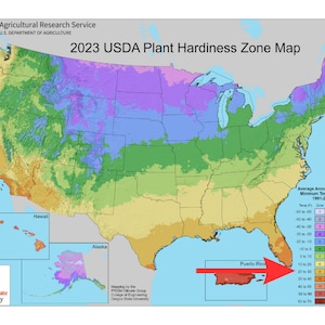 Zone 9 Planting Schedule: Visual Spring Vegetable Garden Planner, Seed ...