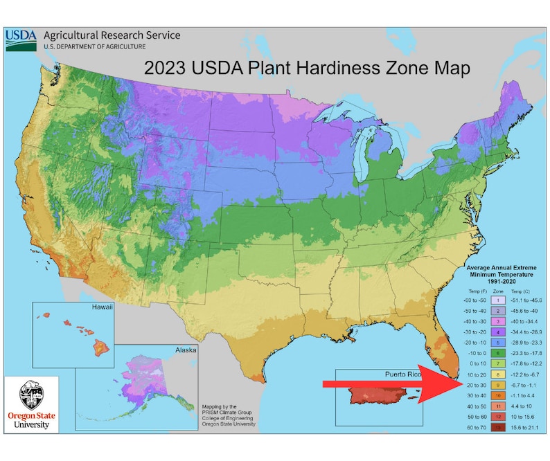 Zone 9 Spring Planting Schedule | Weekly Garden Planner, 40+ Crops ...
