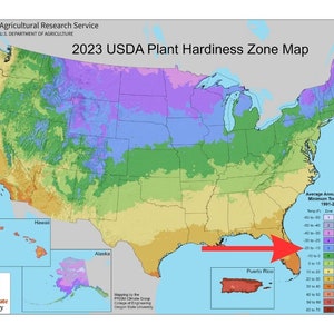 Zone 5 Planting Schedule: Visual Spring Vegetable Garden Planner, Seed ...