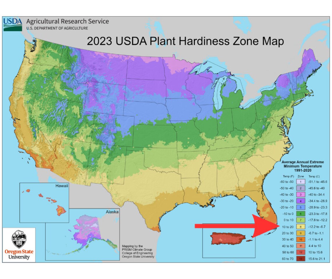 Zone 8 Planting Schedule: Visual Spring Vegetable Garden Planner, Seed ...