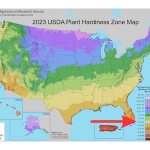 Zone 8 Planting Schedule: Visual Spring Vegetable Garden Planner, Seed ...
