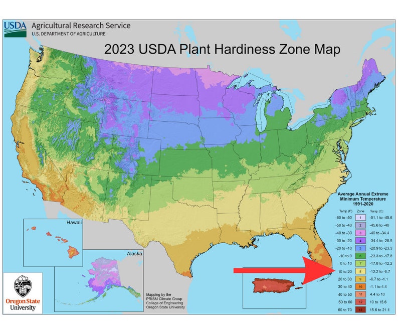 Zone 8 Planting Schedule: Visual Spring Vegetable Garden Planner, Seed ...