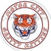 Motor City Gritty Kitties Detroit Baseball Tigers Grit SVG, PNG, JPG ...