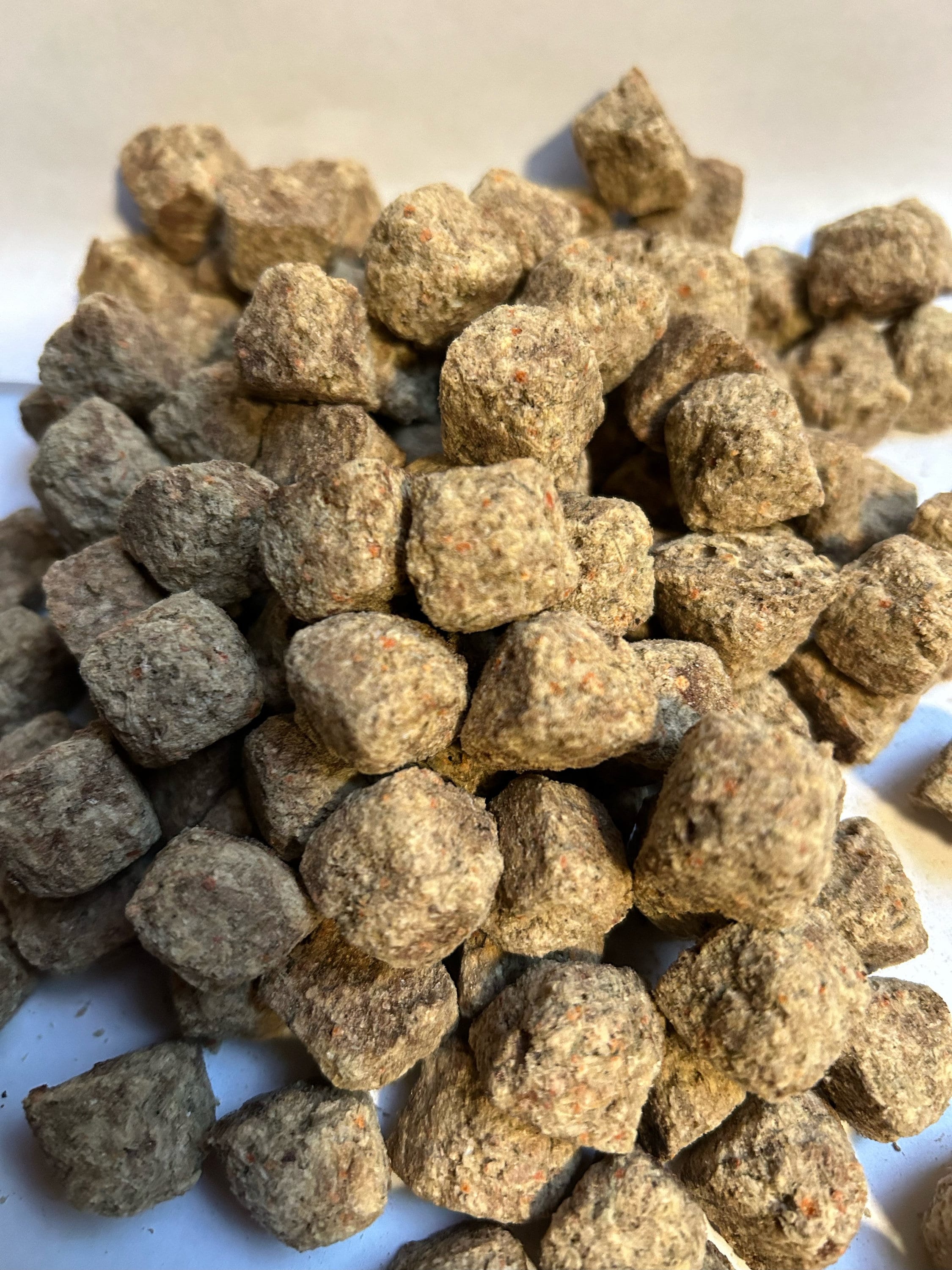 Premium Freeze Dried "brine Shrimp" Floating Cubes Tropical Fish Food ...