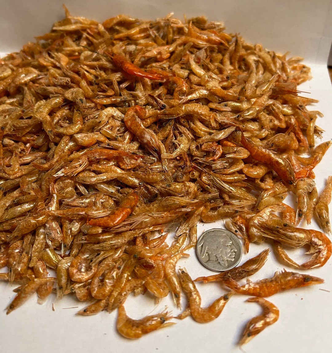 Premium Freeze Dried "red Shrimp" Tropical Fish Food Turtles ,koi ...