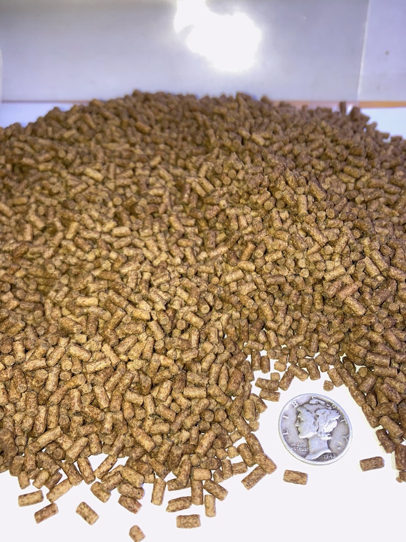 Premium "catfish" Sinking Pellets Bottom Feeders, Crayfish, Pleco ...