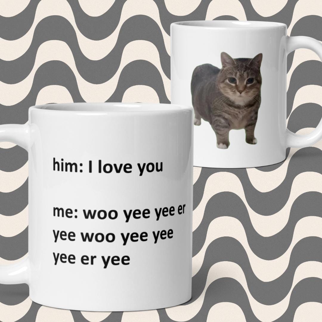 Cat Brainrot Rotating Cat Tiktok Meme White Glossy Mug - Etsy