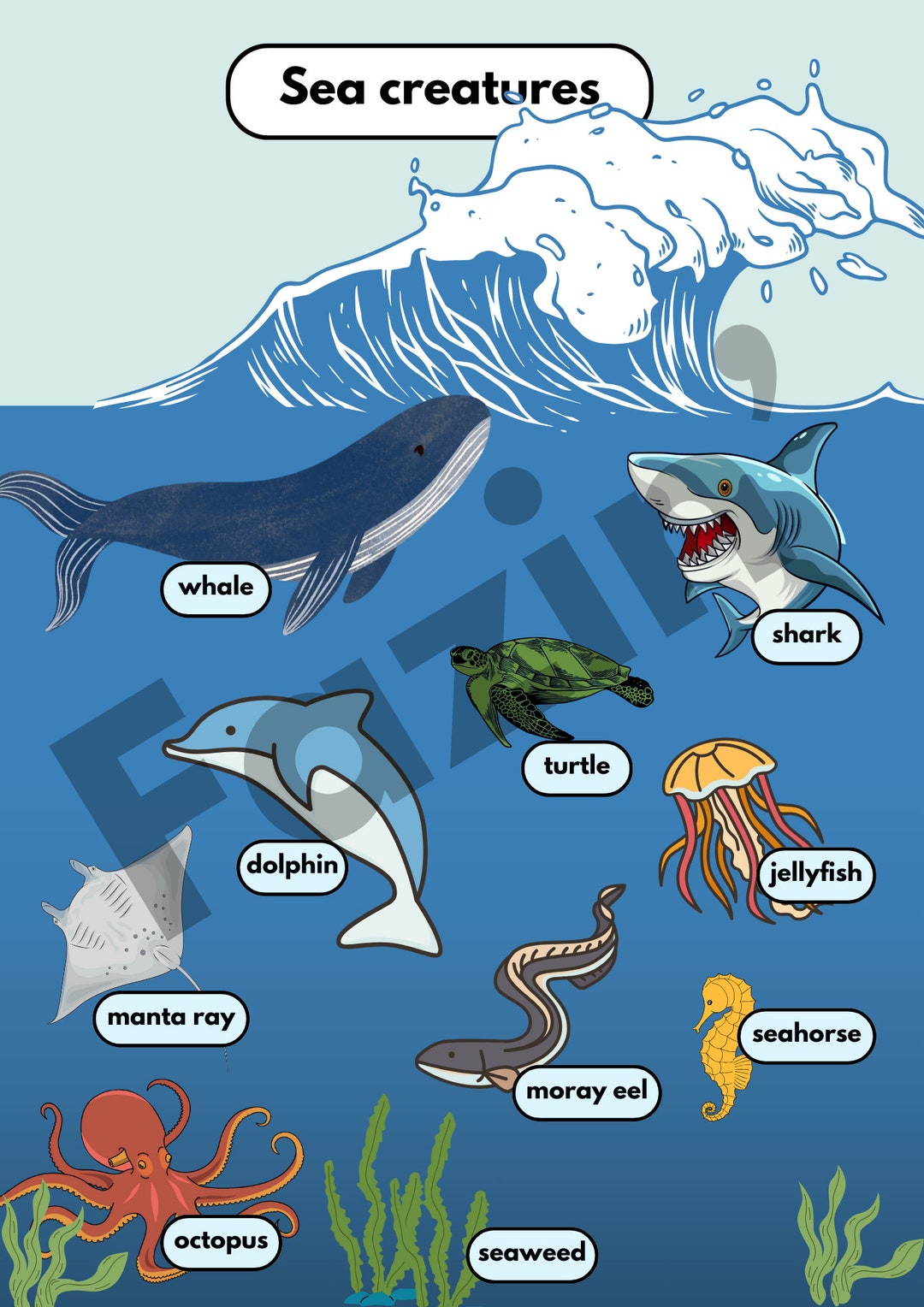 Sea Creatures English Classroom Poster - Etsy
