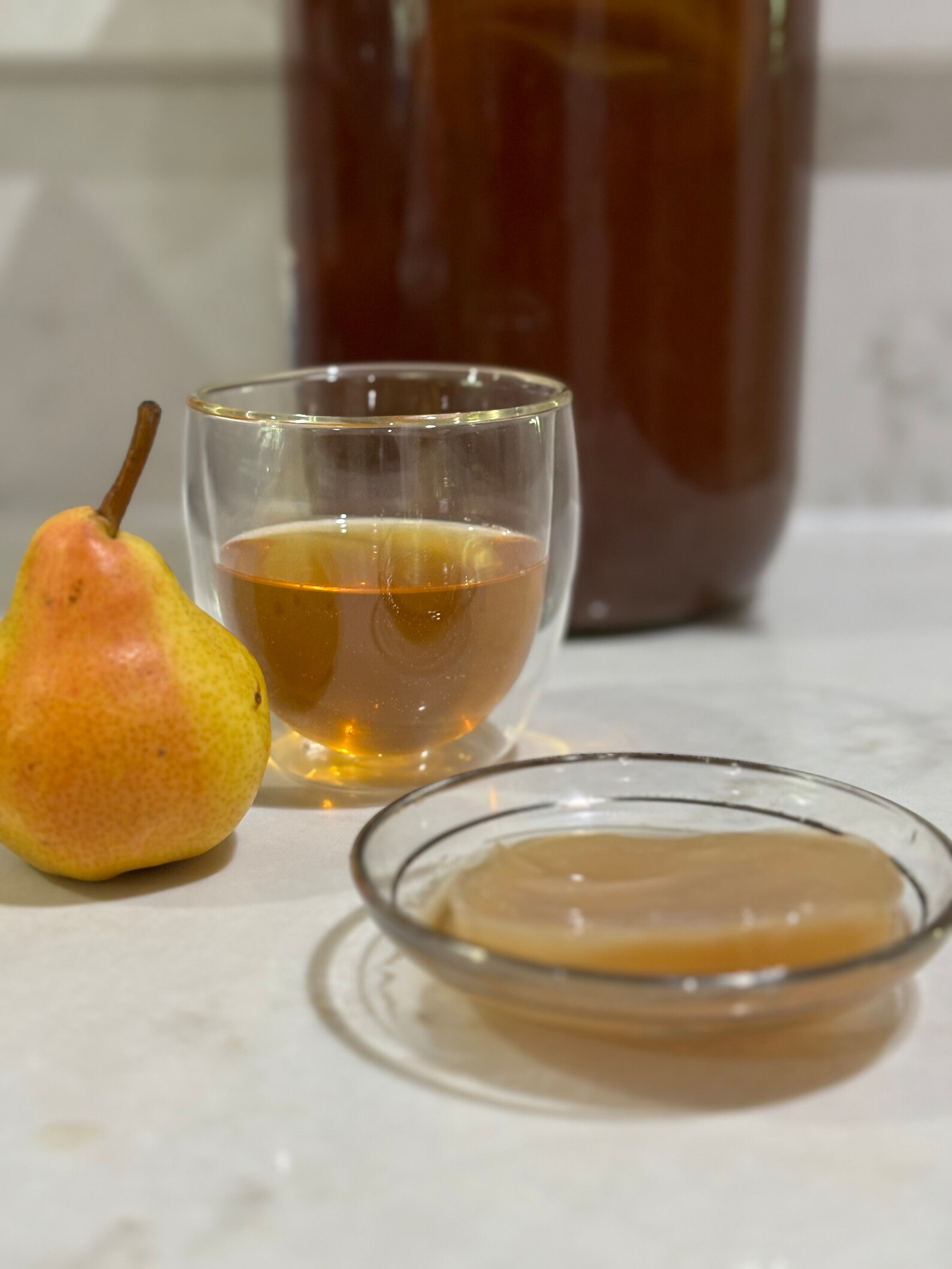 Live and Active Scoby Kombucha Starter Culture With Instructions and 4 ...