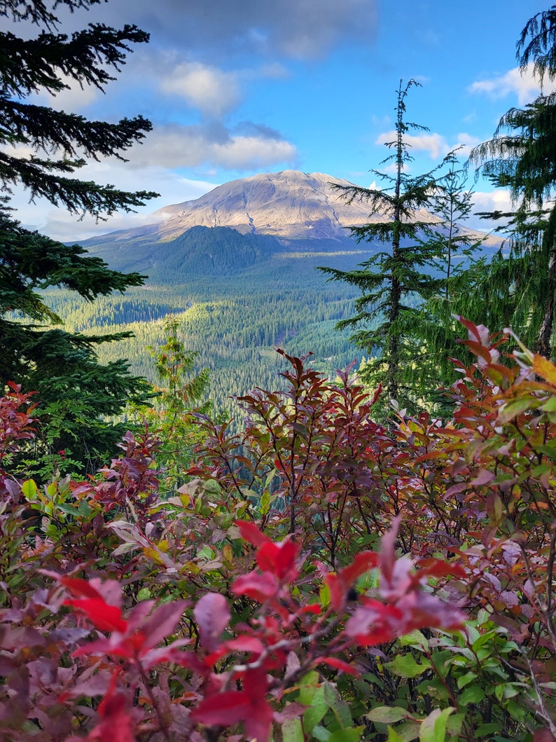 Mount Saint Helens Colors in the Early Fall - Etsy