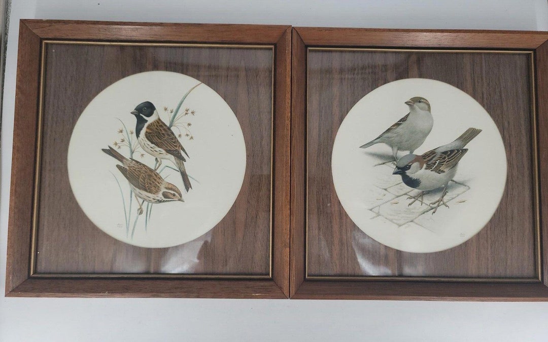 Vintage Framed Signed John Murr Bird Prints 1956 Barn Swallows 1958 Ree ...