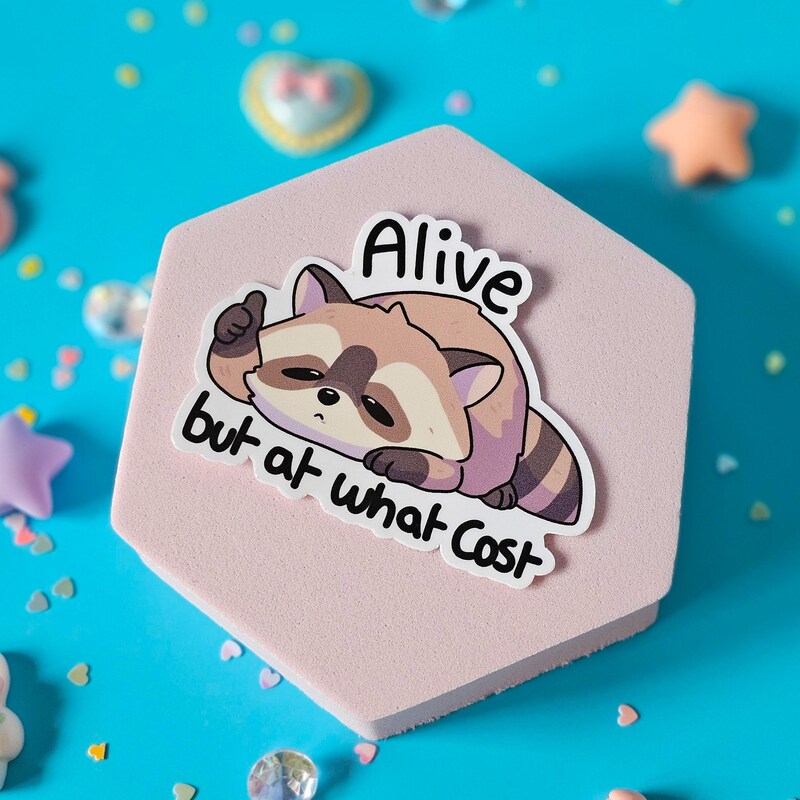 Vinyl Racoon Stickers - Etsy