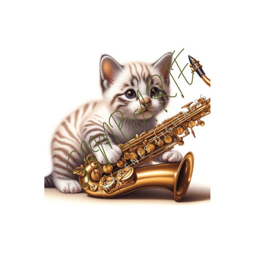 13 High-quality PNG Images of Kittens Playing Orchestra Instruments ...