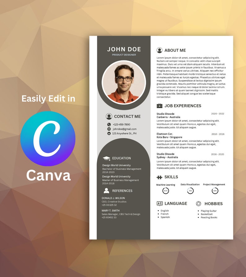 Editable Modern CV or Resume Template for Canva - Etsy