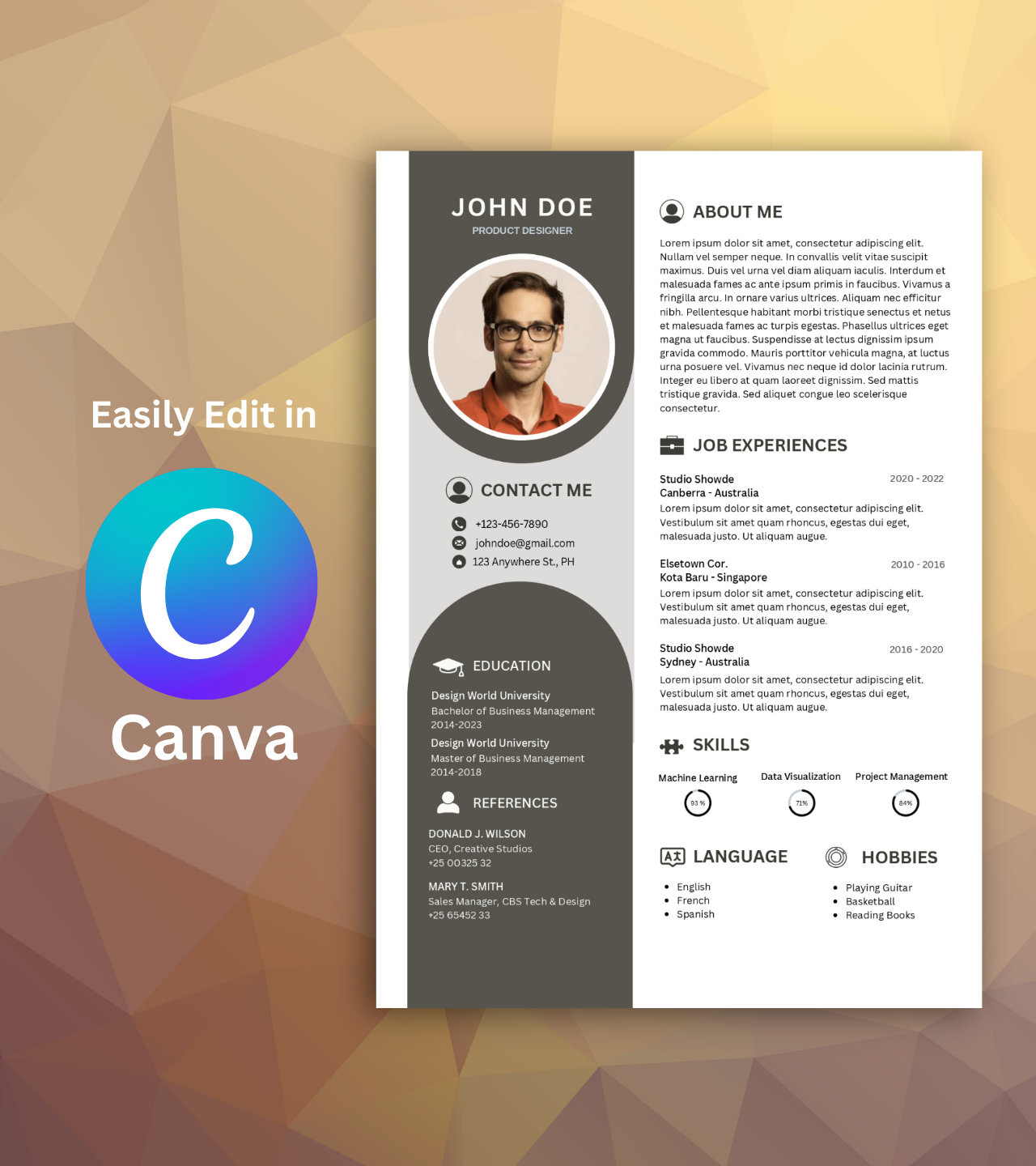 Editable Modern CV or Resume Template for Canva - Etsy