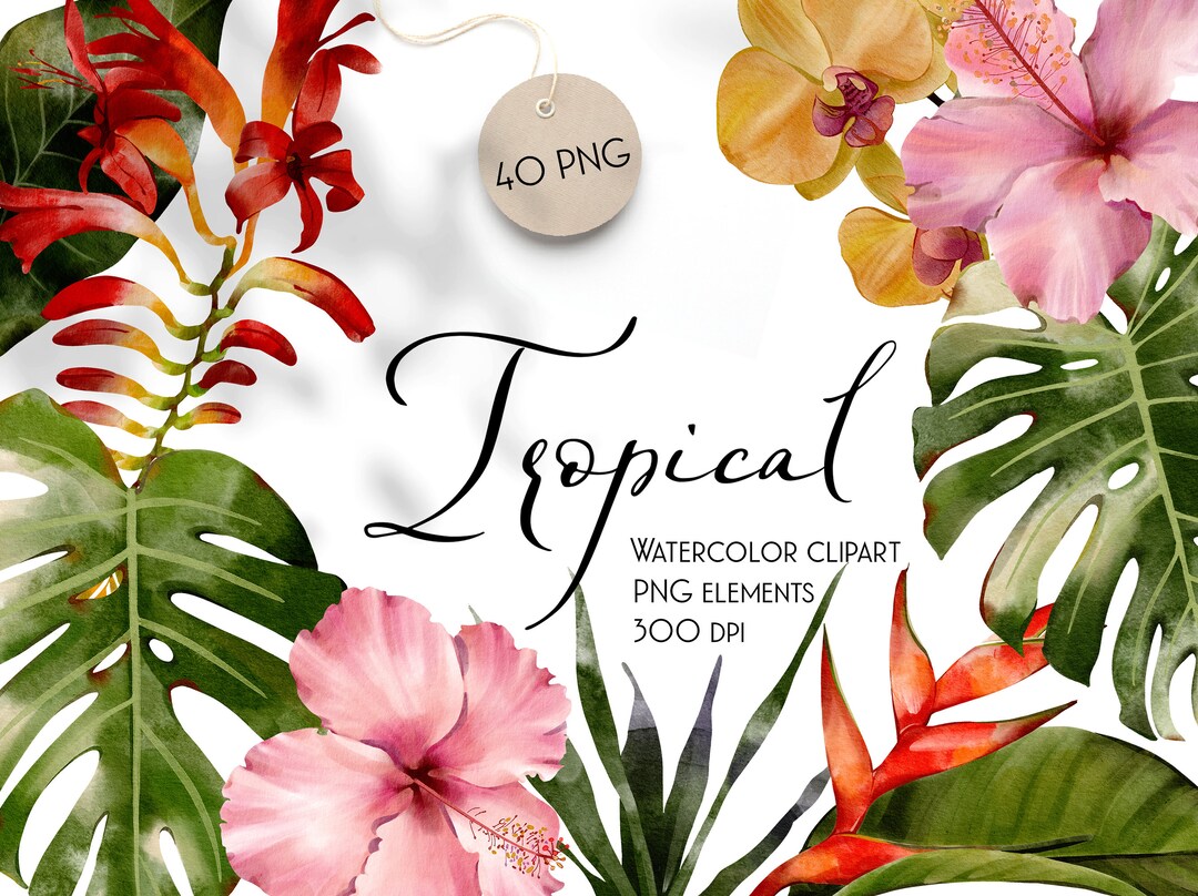 Tropical Watercolor Clipart, Summer Clipart, Tropical Greenery ...