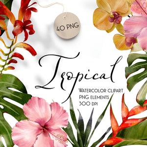 Tropical Watercolor Clipart: Summer Floral PNG Set (digital Download ...