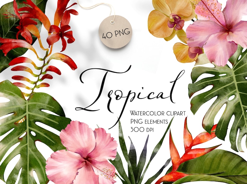 Tropical Watercolor Clipart: Summer Floral PNG Set (digital Download ...