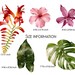 Tropical Watercolor Clipart: Summer Floral PNG Set (digital Download ...
