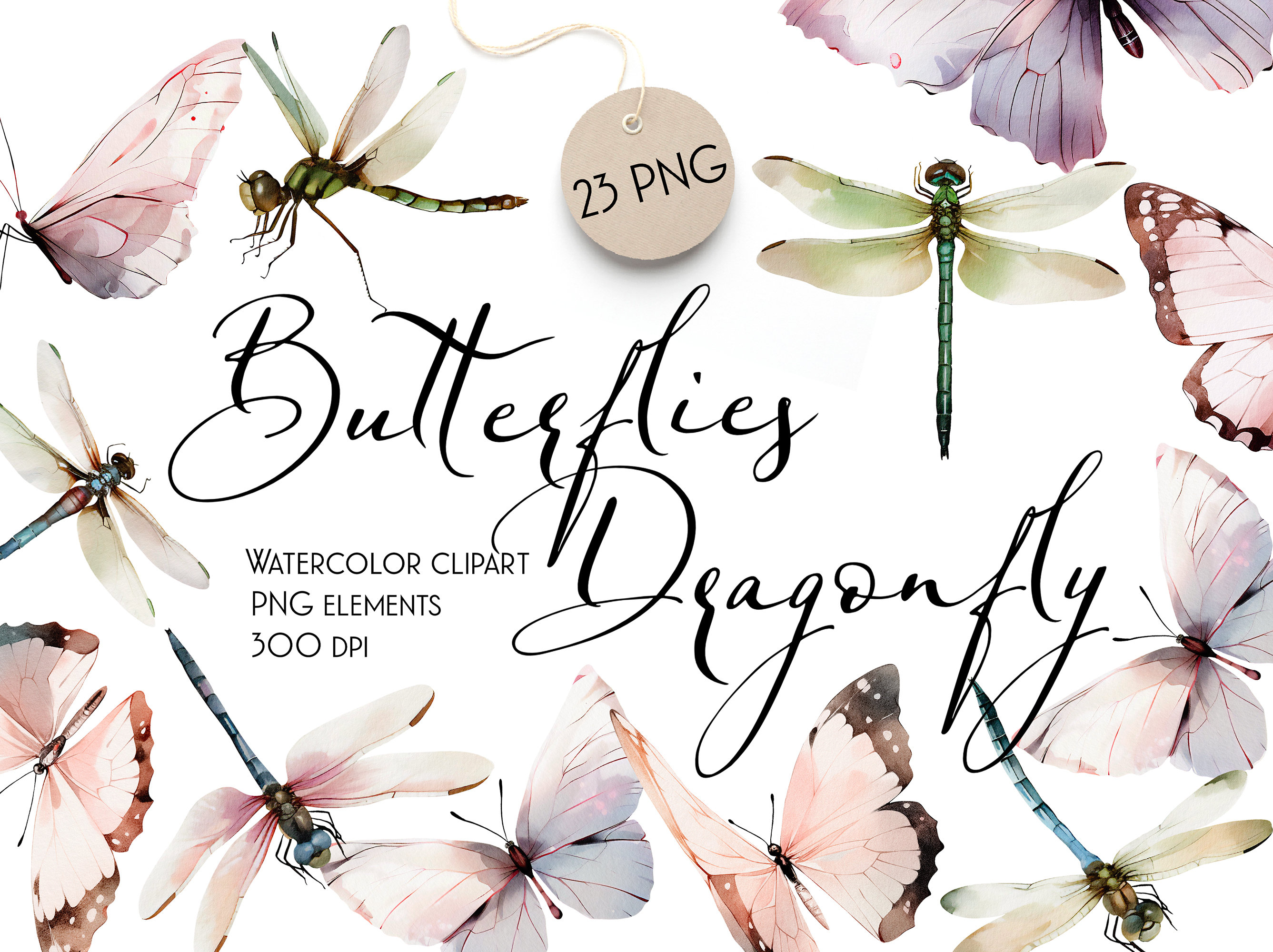 Watercolor Butterfly and Dragonflies Clipart, Insect Illustrations ...