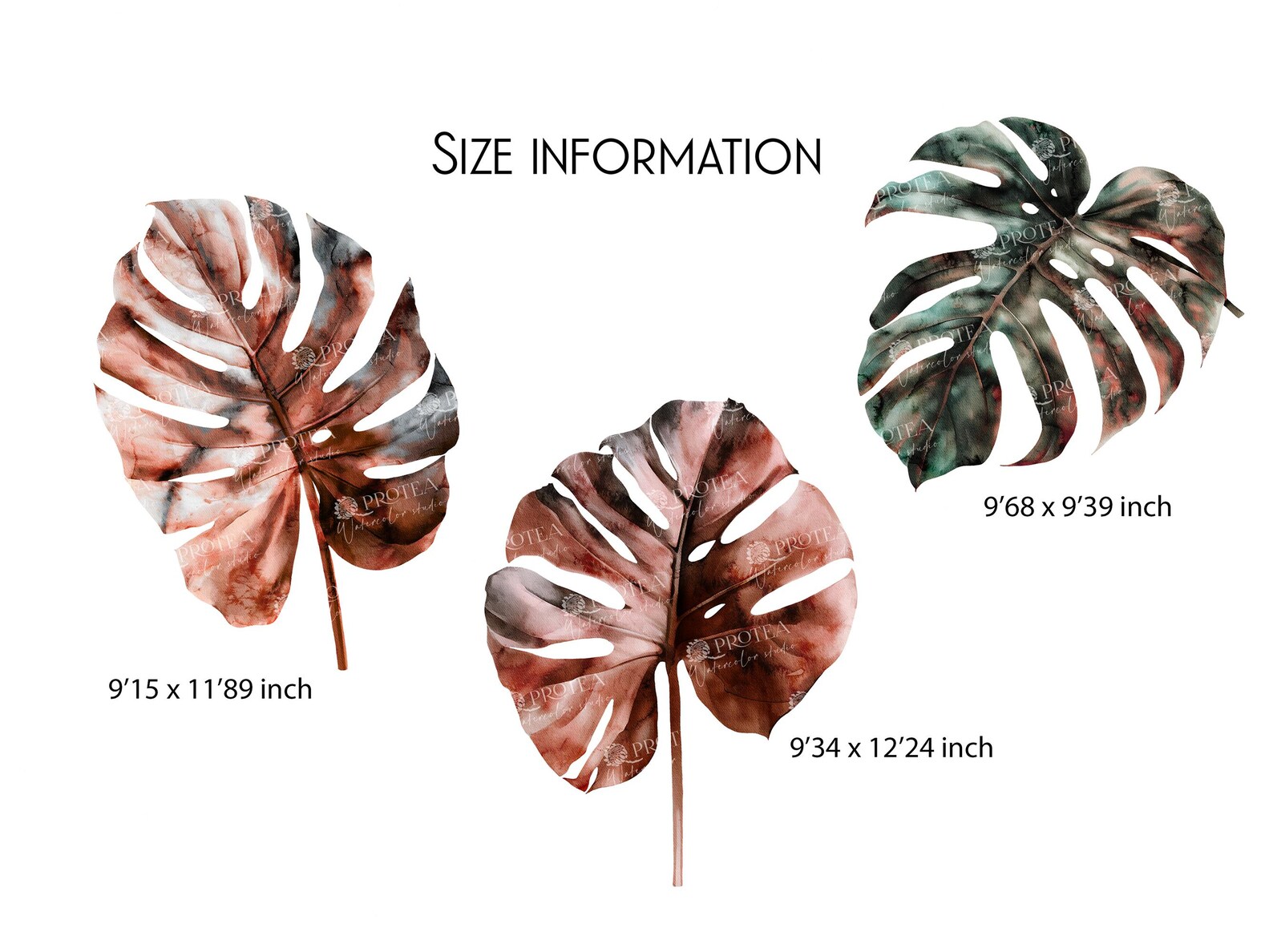 Tropical Watercolor Clipart Monstera Clipart Tropical Greenery Tropical ...