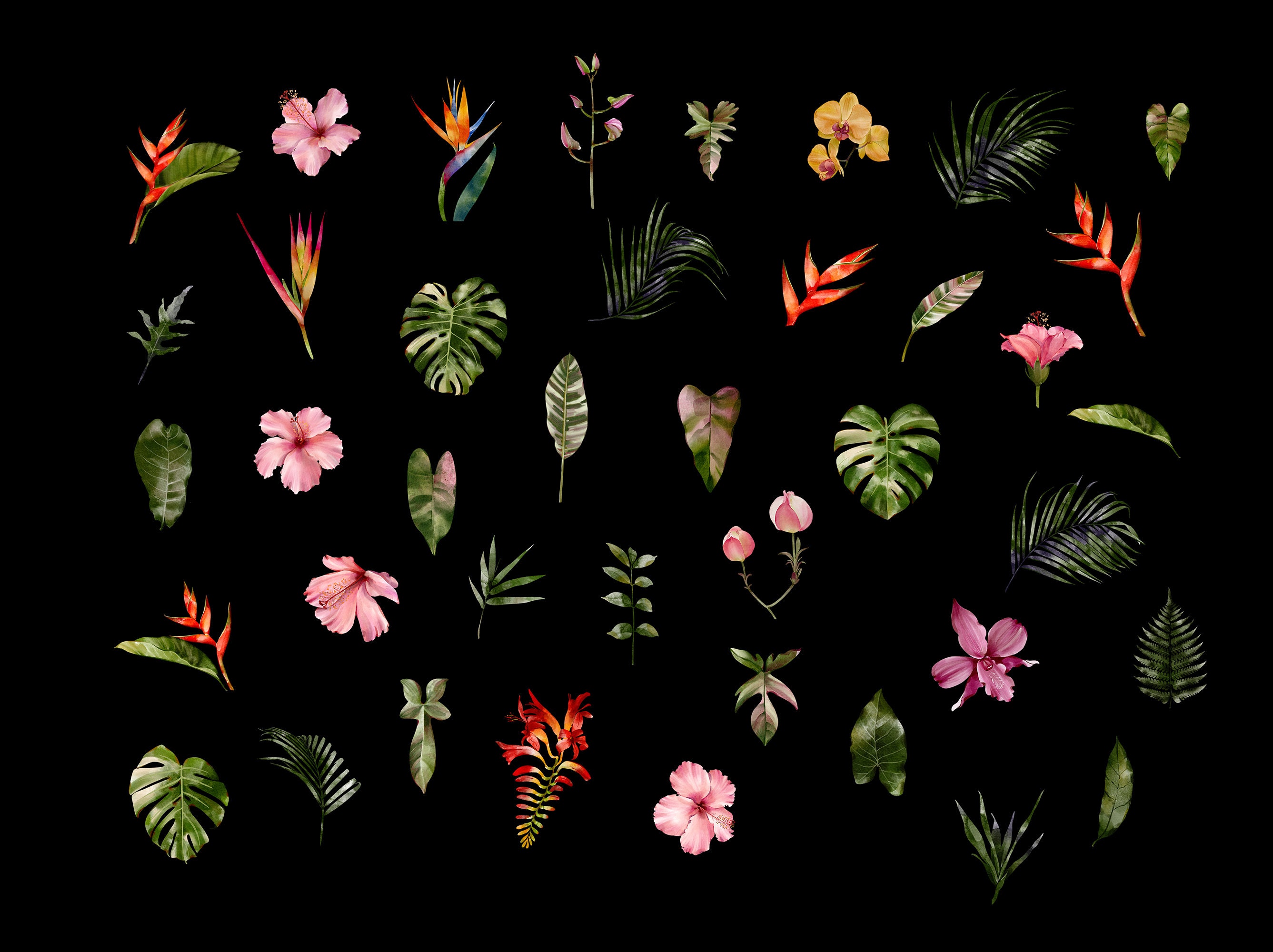 Tropical Watercolor Clipart: Summer Floral PNG Set (digital Download ...