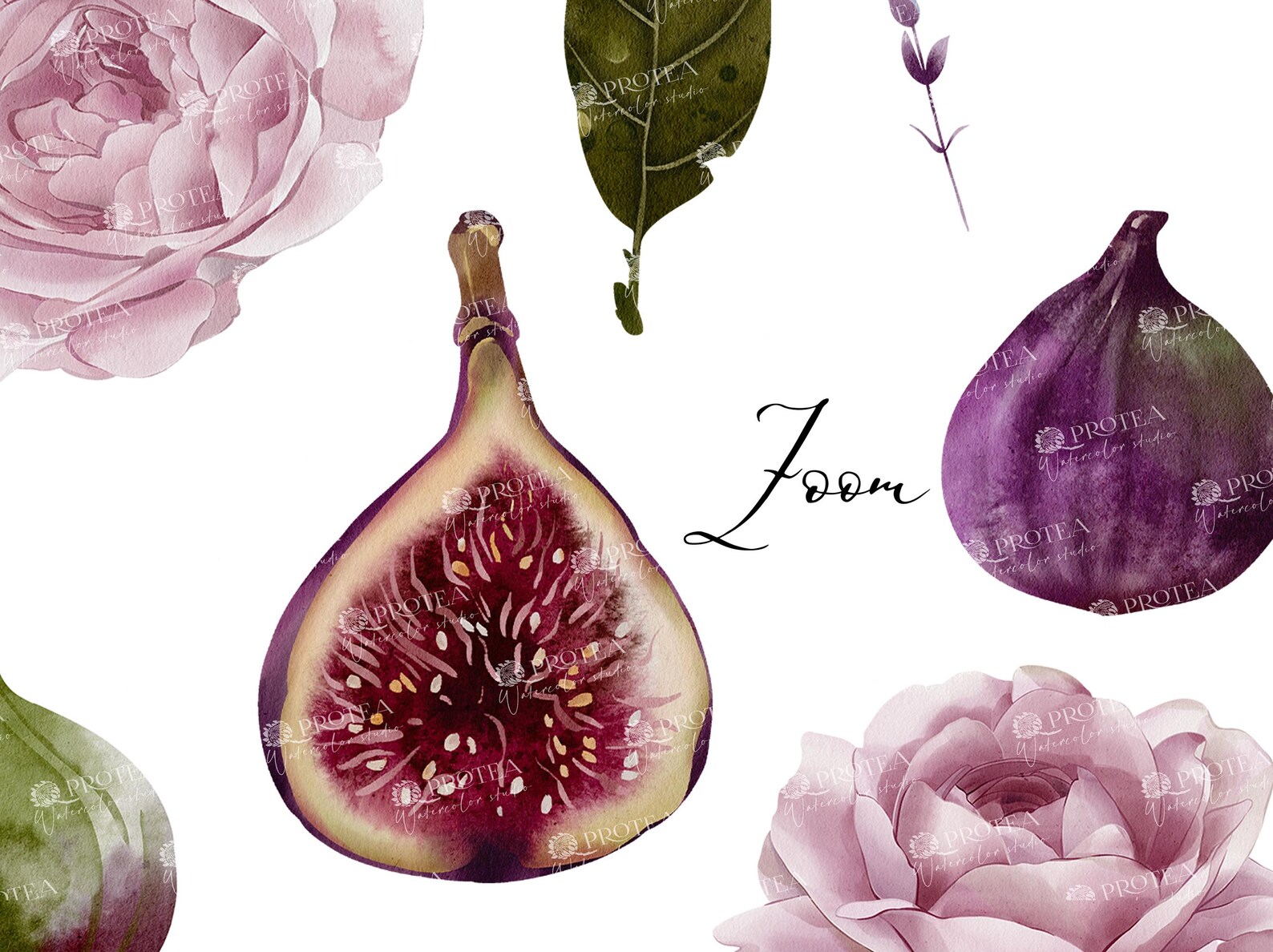 Watercolor Floral Set With Figs, Autumn Clipart, Flowers Leaves Figs, Wedding Invite Elements ...