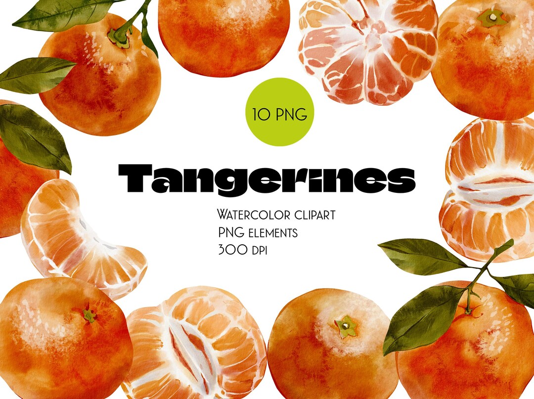 Watercolor Tangerines, Clipart Bundle, PNG Files, Tangerines Clipart ...