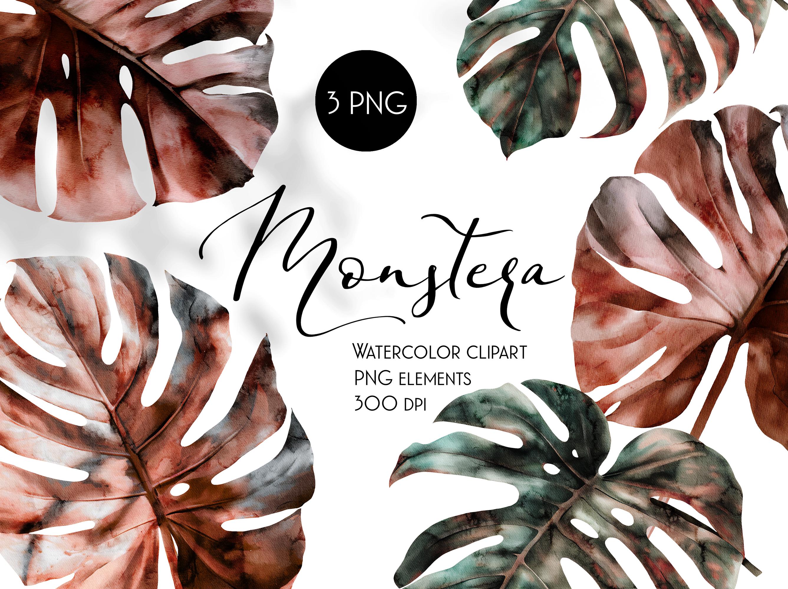 Tropical Watercolor Clipart Monstera Clipart Tropical Greenery Tropical ...