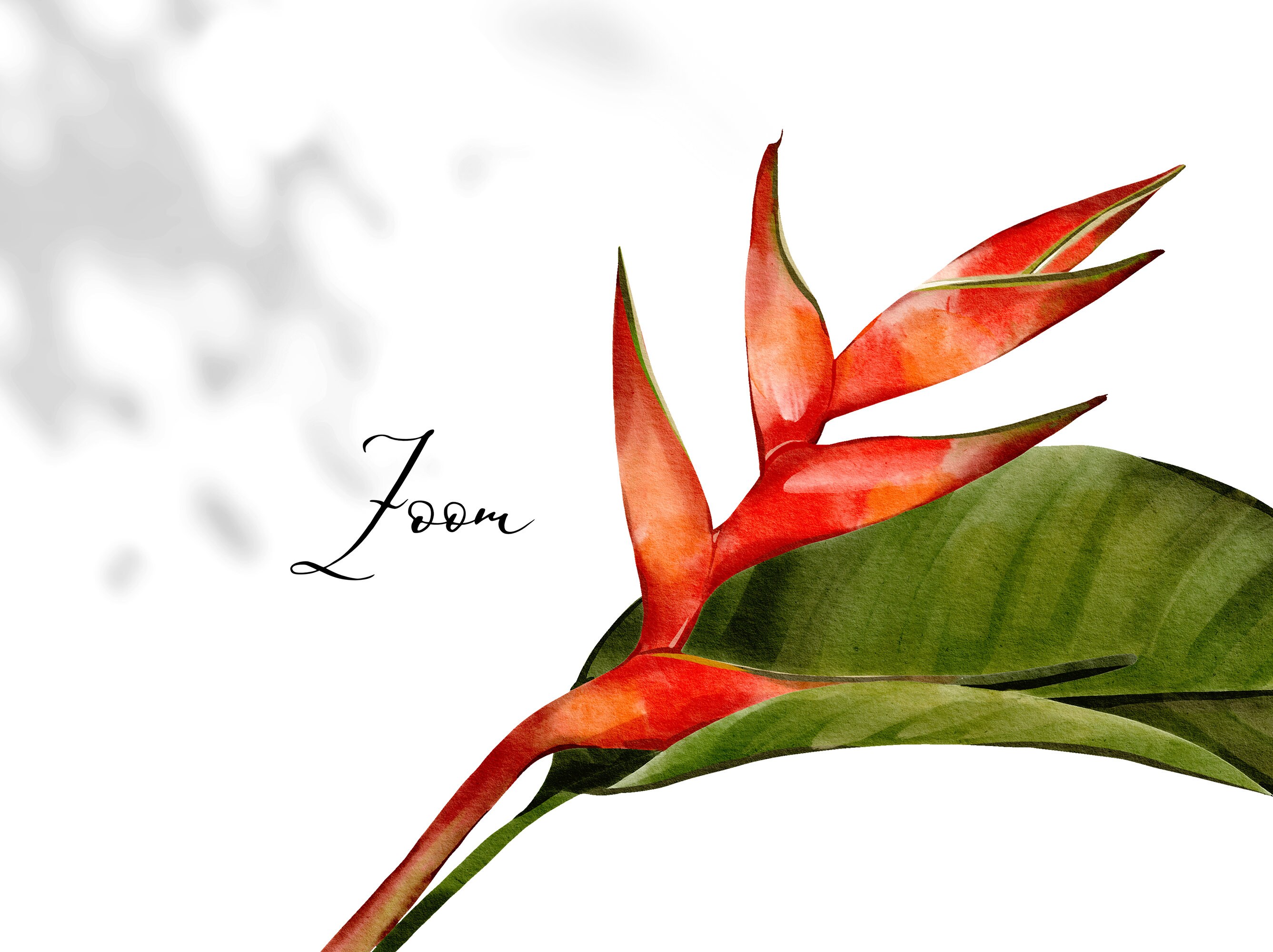 Tropical Watercolor Clipart: Summer Floral PNG Set (digital Download ...