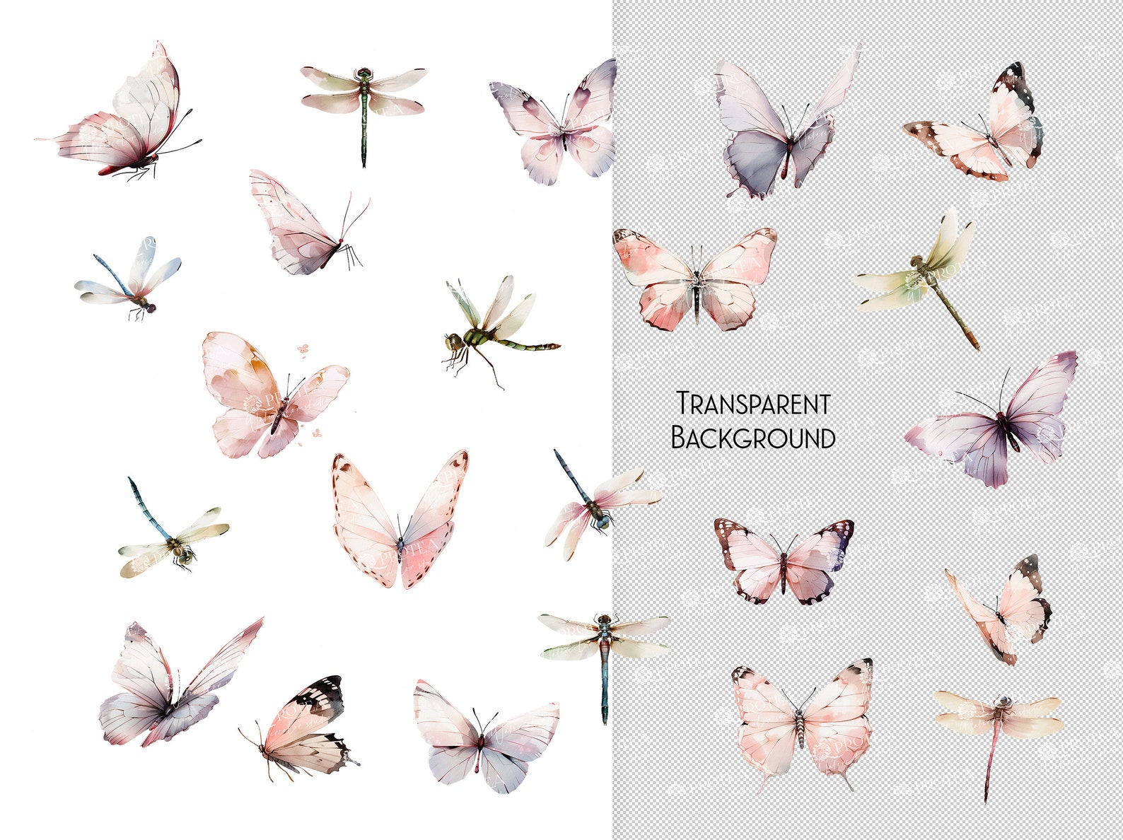 Watercolor Butterfly and Dragonflies Clipart, Insect Illustrations ...