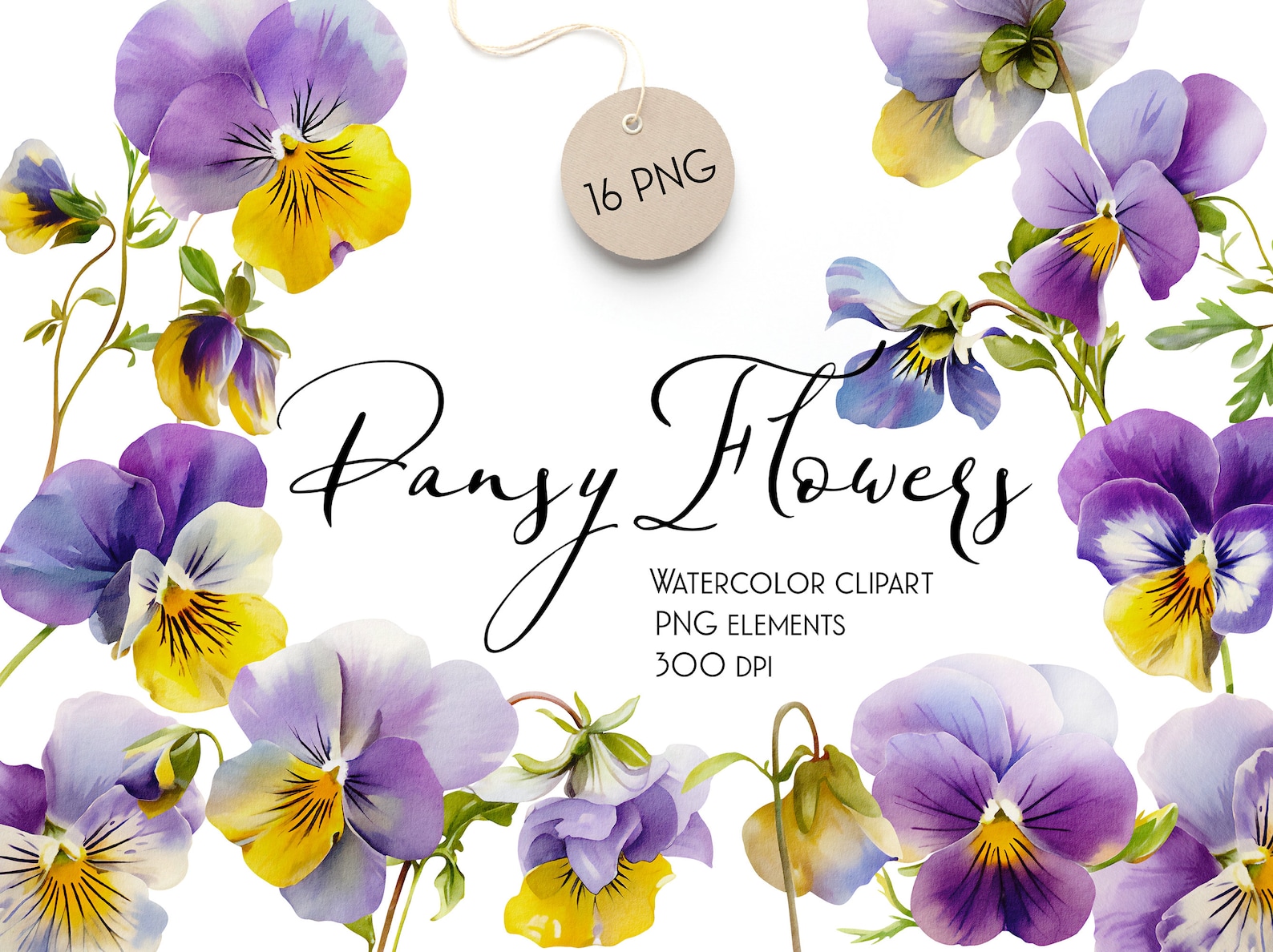 Watercolor Pansy PNG, Watercolor Pansy Clipart Set, Pastel Pansy Flower ...