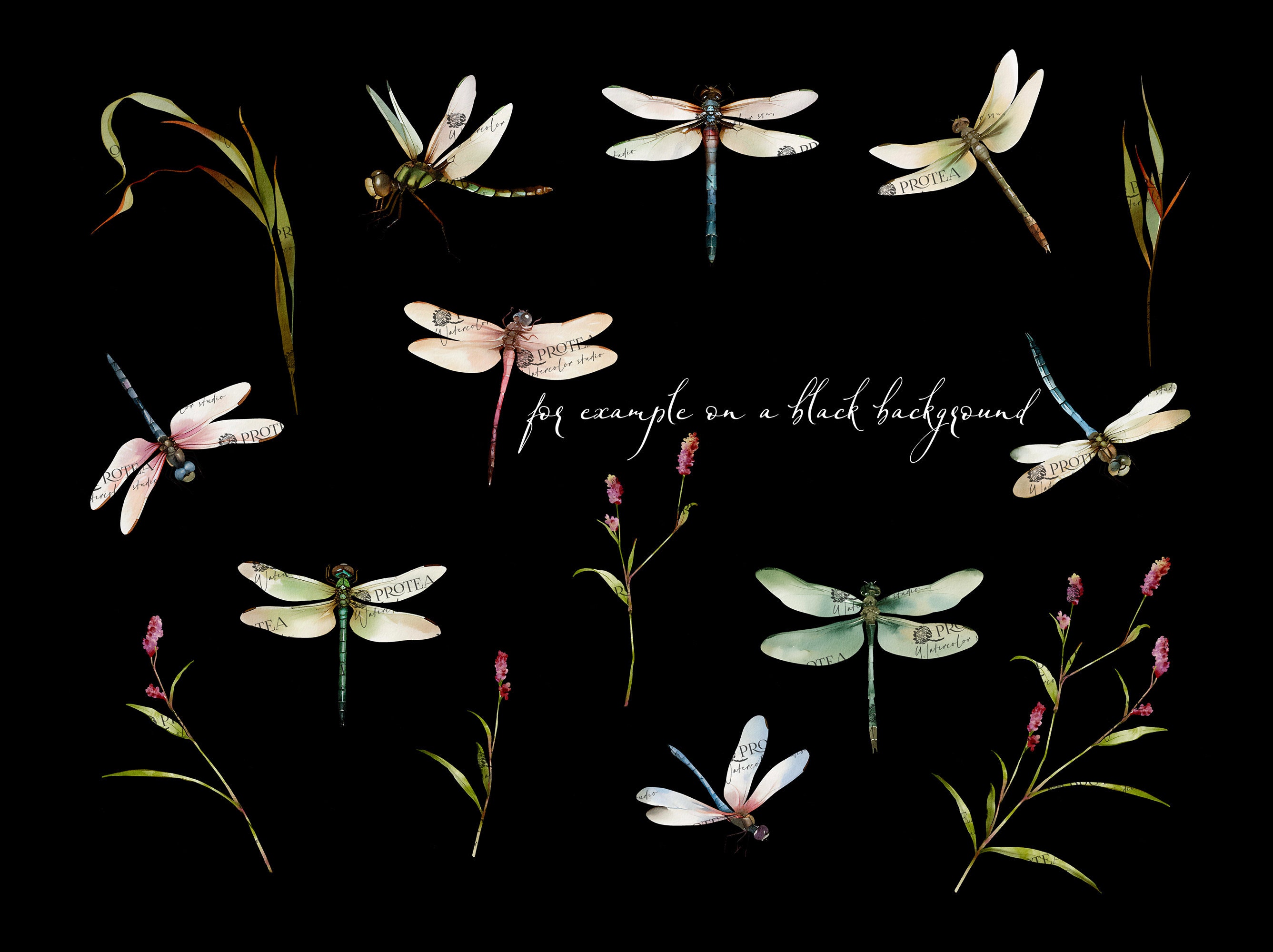 Watercolor Dragonflies Clipart Collection, Hand-drawn Dragonfly Clipart ...