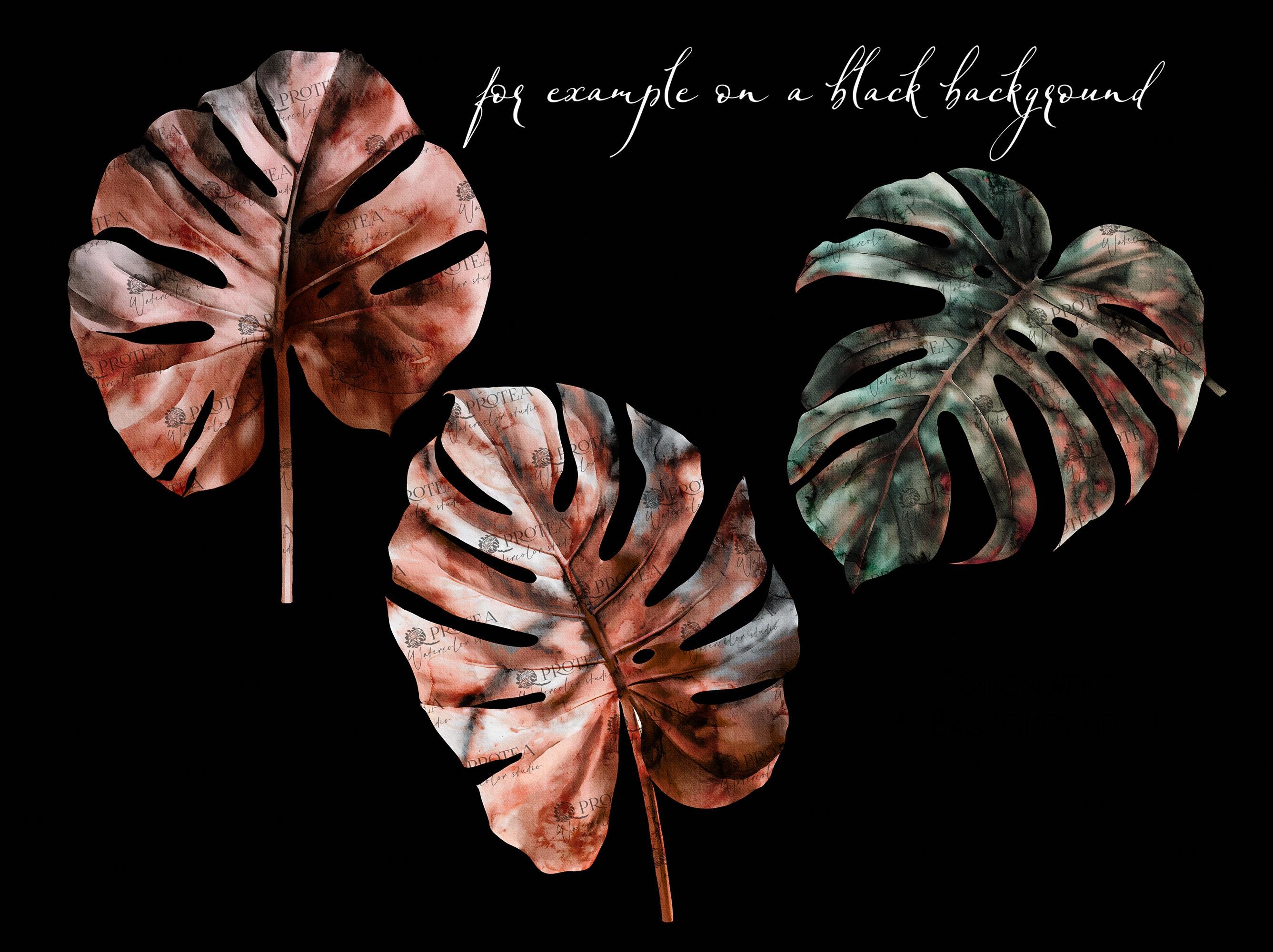 Tropical Watercolor Clipart Monstera Clipart Tropical Greenery Tropical ...