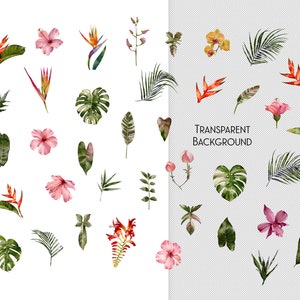 Tropical Watercolor Clipart: Summer Floral PNG Set (digital Download ...